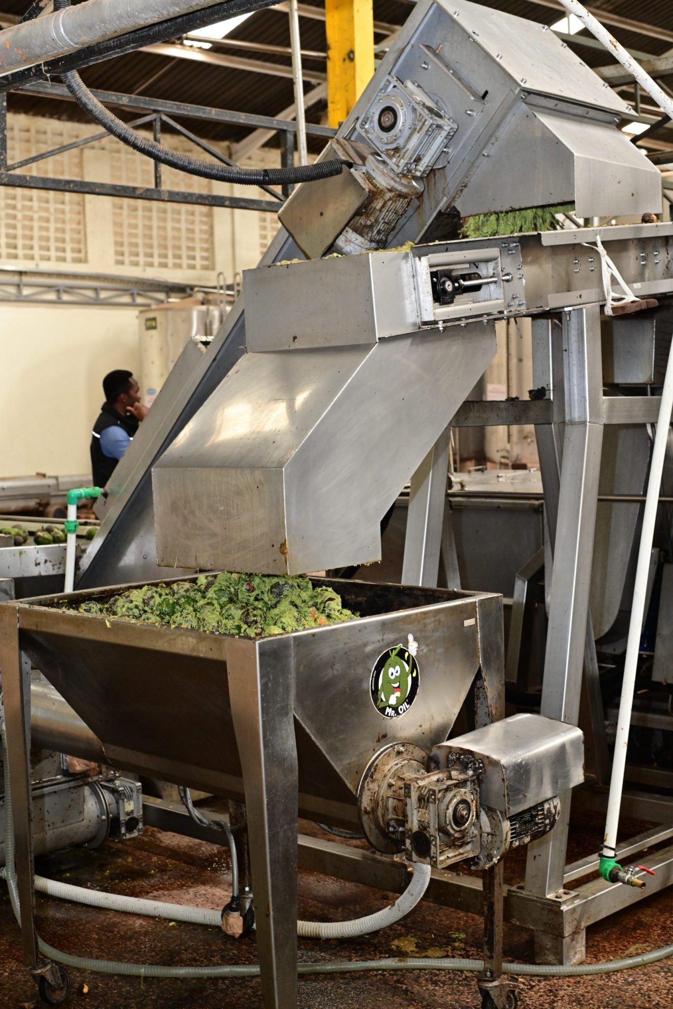 How is Avocado Oil Processed? | Vitone Africa