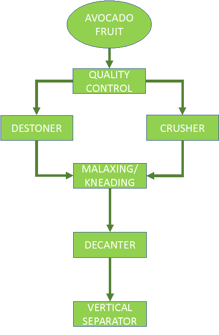 How is Avocado Oil Processed? | Vitone Africa